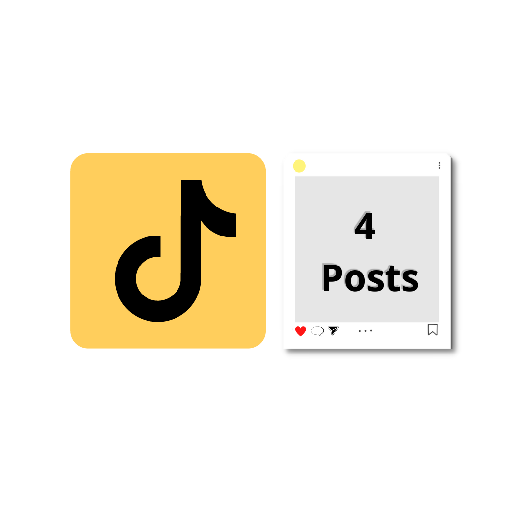 SIMPLE TIKTOK PLAN - Mike Simon