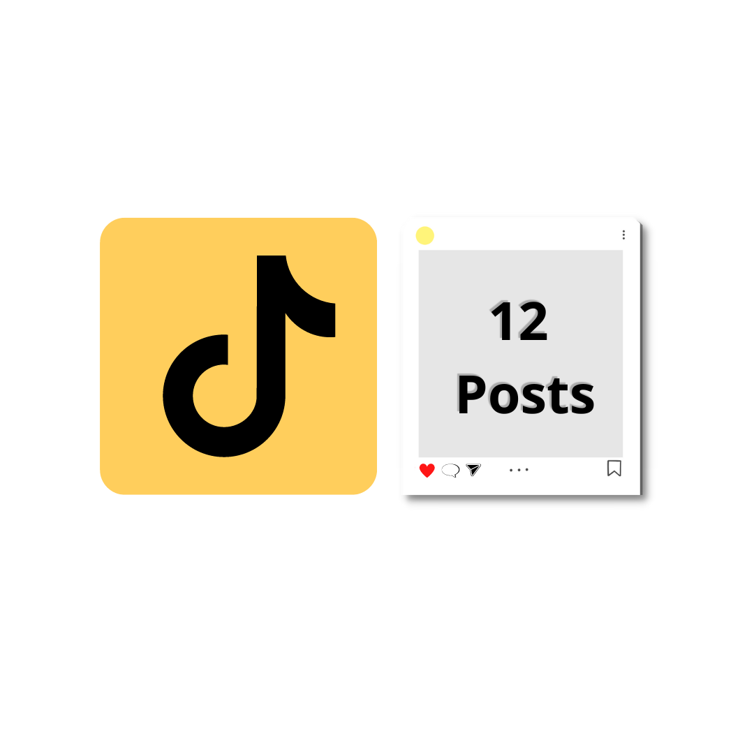 STANDARD TIKTOK PLAN - Mike Simon