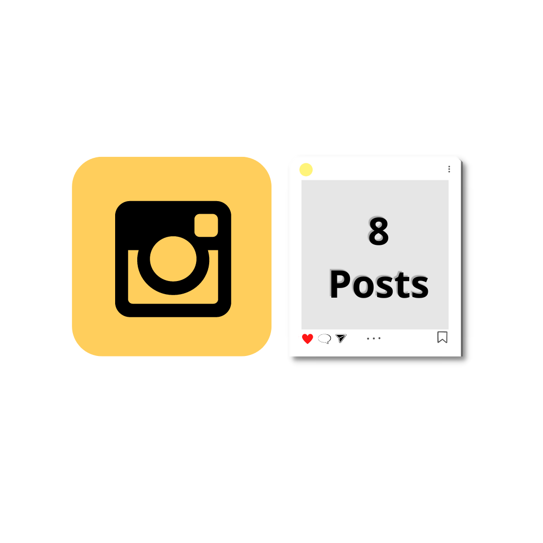 STARTER INSTAGRAM PLAN - Mike Simon